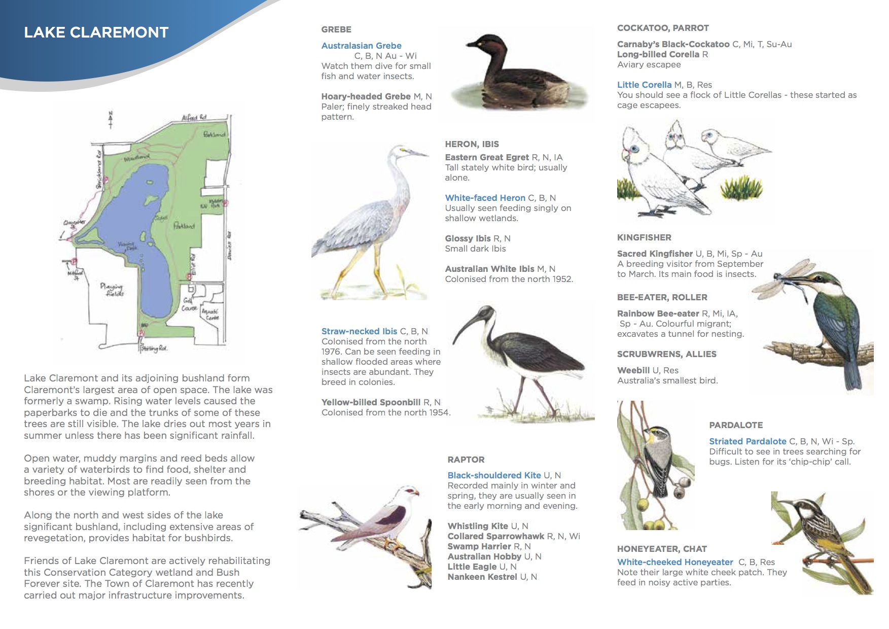 Birds-of-Lake-Claremont-Update-Nov-13-3 – Friends of Lake Claremont